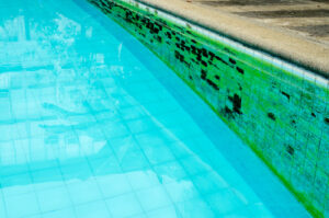 Things To Know Before Doing Your Pool Maintenance At Home