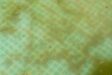 Removing Mold in Pool - Pool Cleaning Singapore