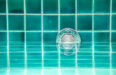 Algae and Scale on Pool Walls and Tiles - Pool Cleaning Singapore